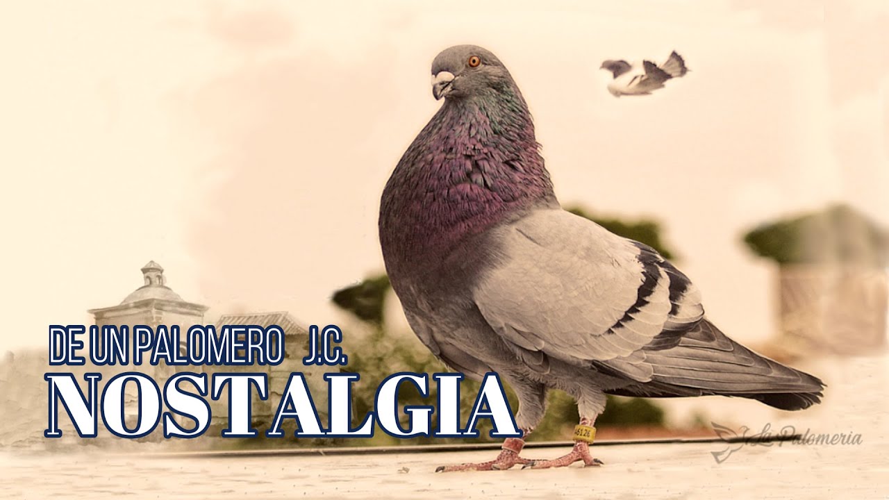 De un Palomero Nostalgia - YouTube