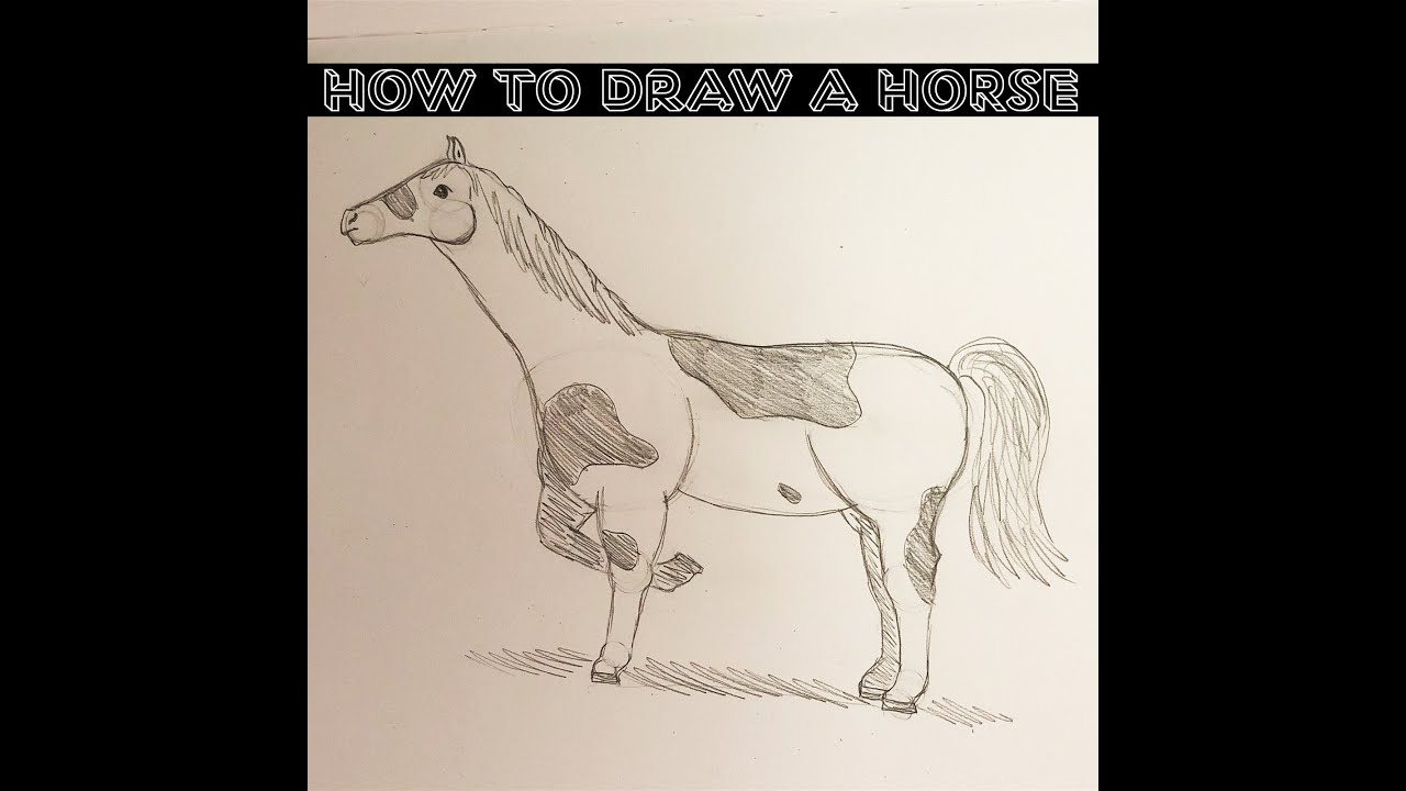 How to Draw a Horse Tutorial - YouTube