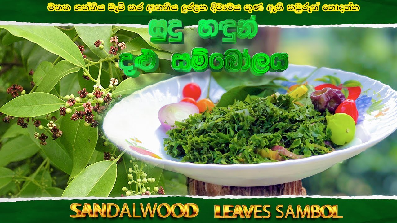 Healthy Sandalwood leaves sambol | සුදු හඳුන් දළු සම්බෝලය | sudu hadun ...
