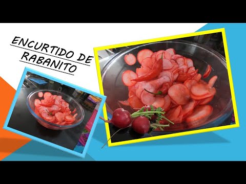 Encurtido de Rabanito - rápido y facil Ks - YouTube