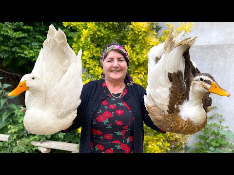 Full Duck Pilaf - You've Never Seen Such Delicious & Mind-blowing Recipe!