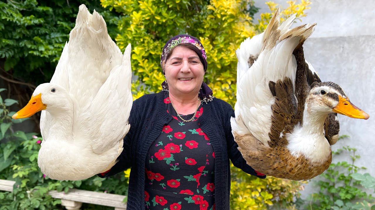 Full Duck Pilaf - You've Never Seen Such Delicious & Mind-blowing ...