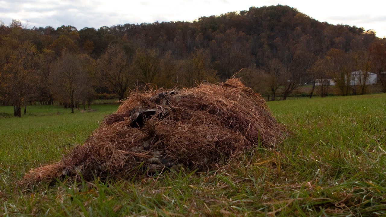 Tangle Free Stealth Grass. How It Look? - YouTube