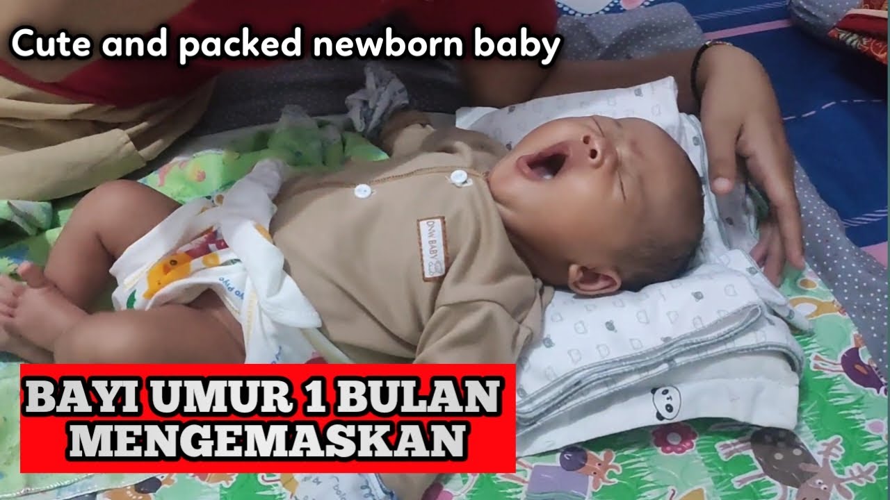 cute and packed newborn baby | Bayi baru lahir lucu - YouTube