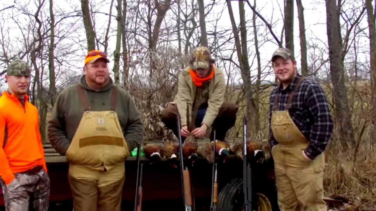 Pheasant Hunting on Mapleglen Farms - YouTube