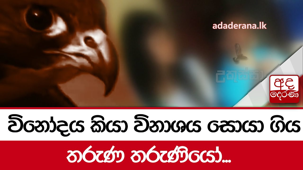 විනෝදය කියා විනාශය සොයා ගිය තරුණ තරුණියෝ... - YouTube