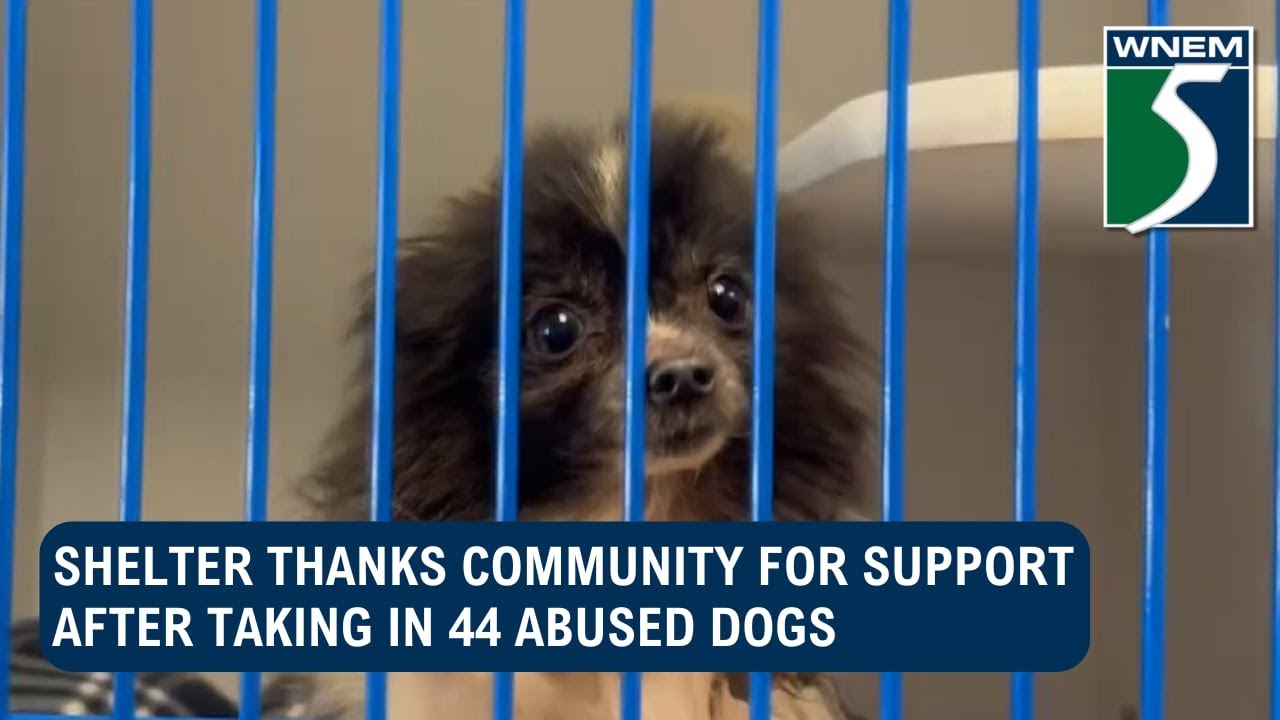 Genesee Co. shelter thanks community for support after taking in 44 ...