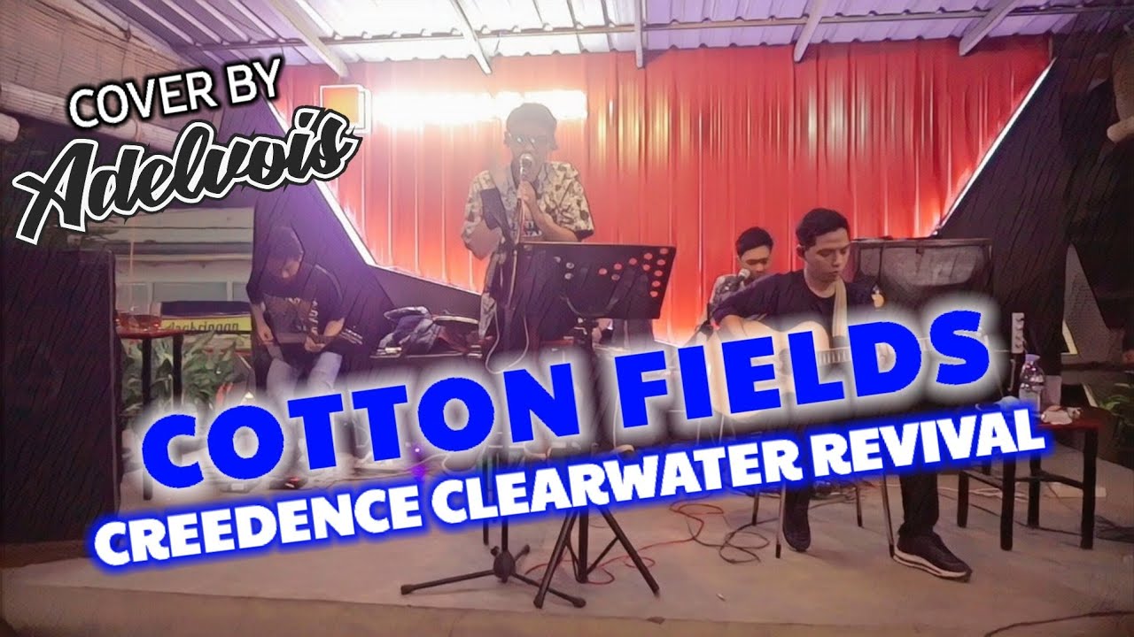 COTTON FIELDS - CREEDENCE CLEARWATER REVIVAL (LIVE MUSIC COVER BY ...