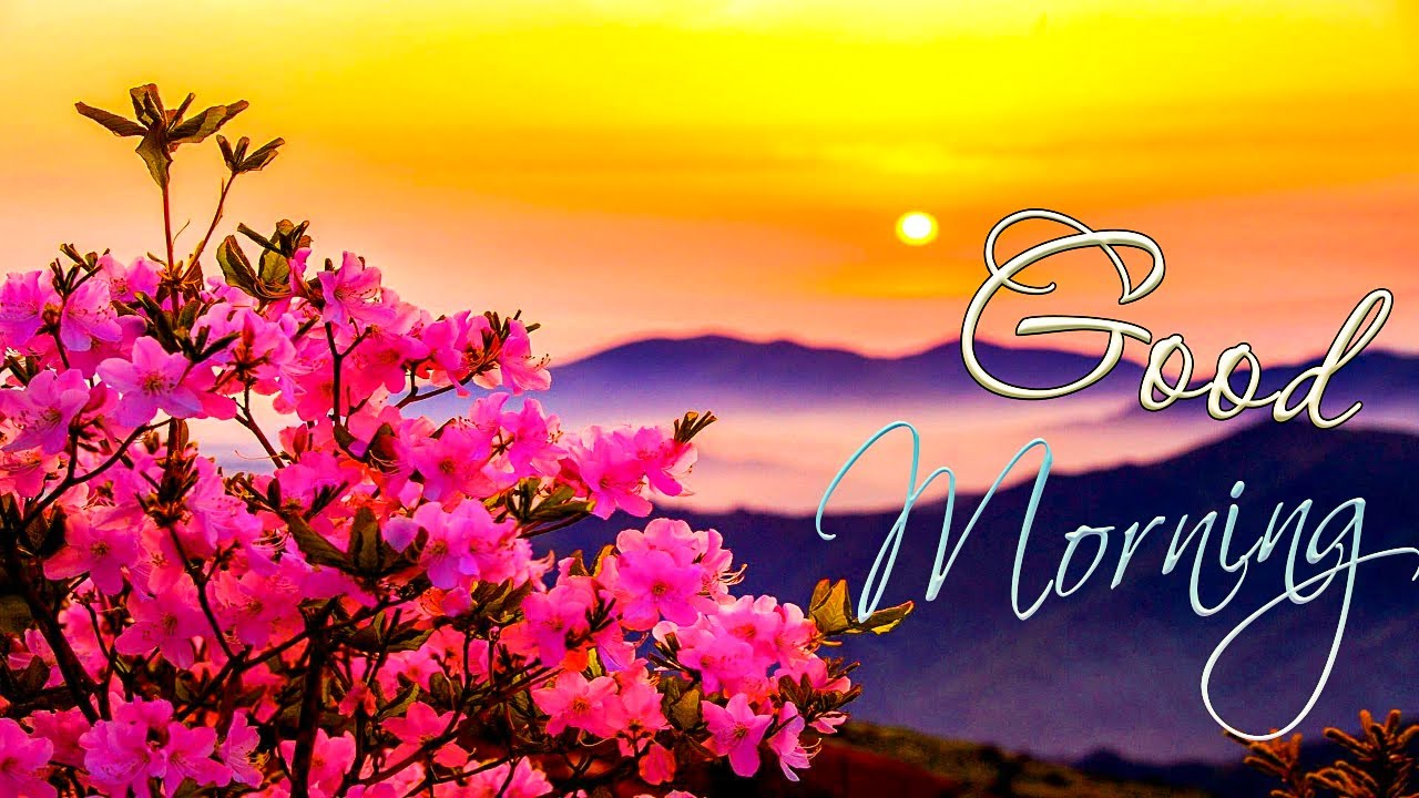 Morning Relaxing Music Happy and Positive Energy Peaceful Piano With ...