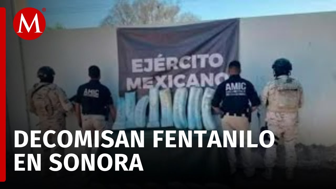 Decomisan casi 492 mil 300 pastillas de fentanilo en San Luis Río ...