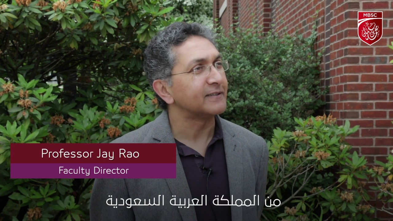 Interview with Professor Jay Rao, Faculty Director, Babson | Summer ...