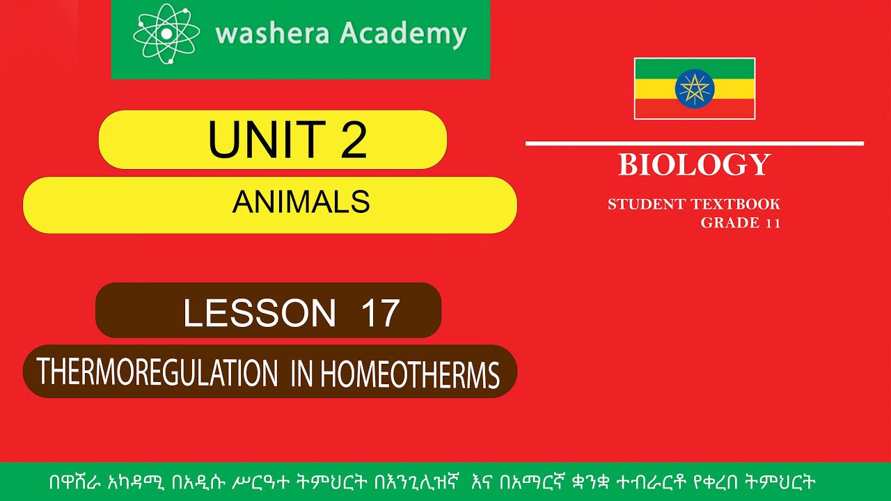 BIOLOGY GRADE 11 UNIT 2 LESSON 17 THEMOREGULATION IN HOMEOTHERMS - YouTube