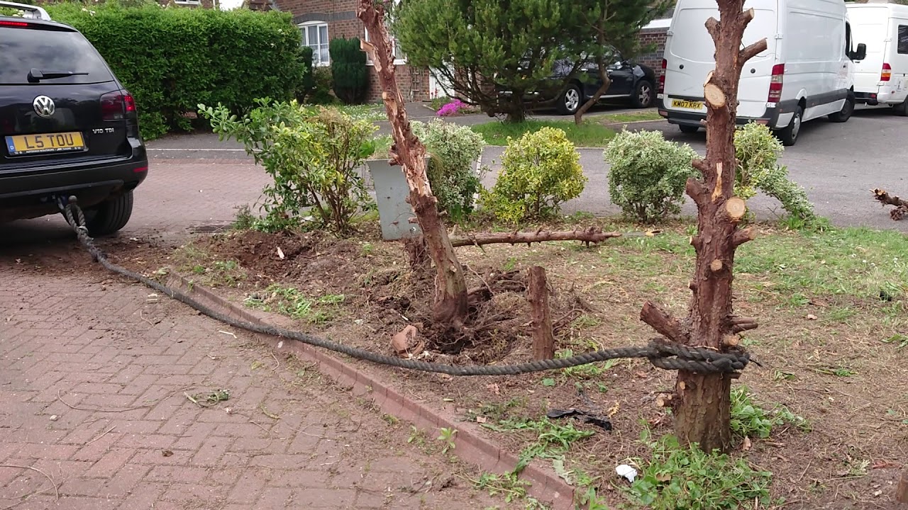 Pulling trees out with a vw volkswagen v10 touareg 5 litre made easy ...