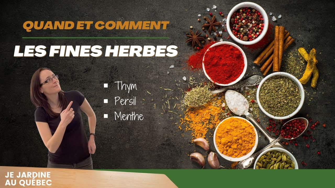 Guide pour des Semis de Fines Herbes Réussis: menthe, thym et persil ...