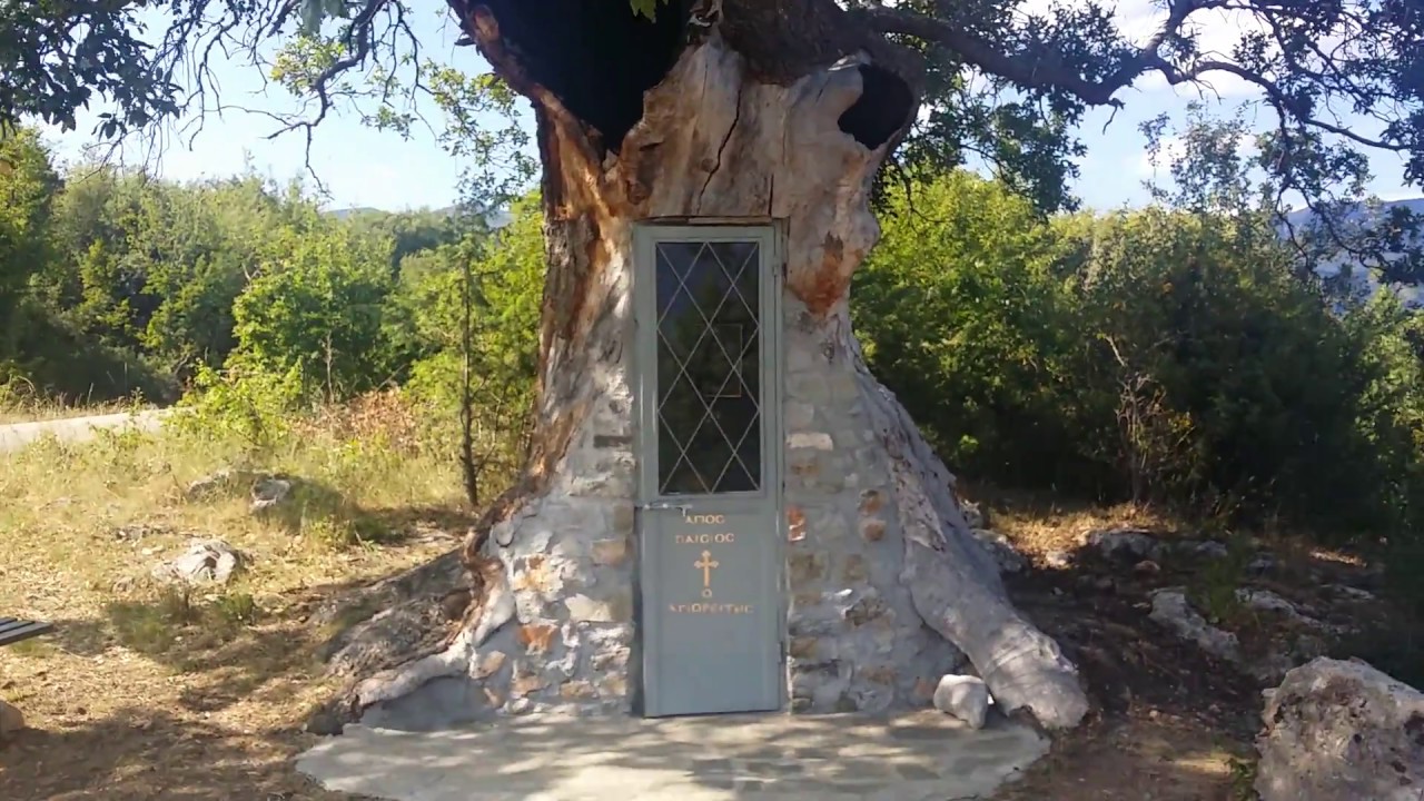 Δεντροκκλησιά Άγιου Παΐσιου-Αγία Βαρβάρα-Κόνιτσας - YouTube