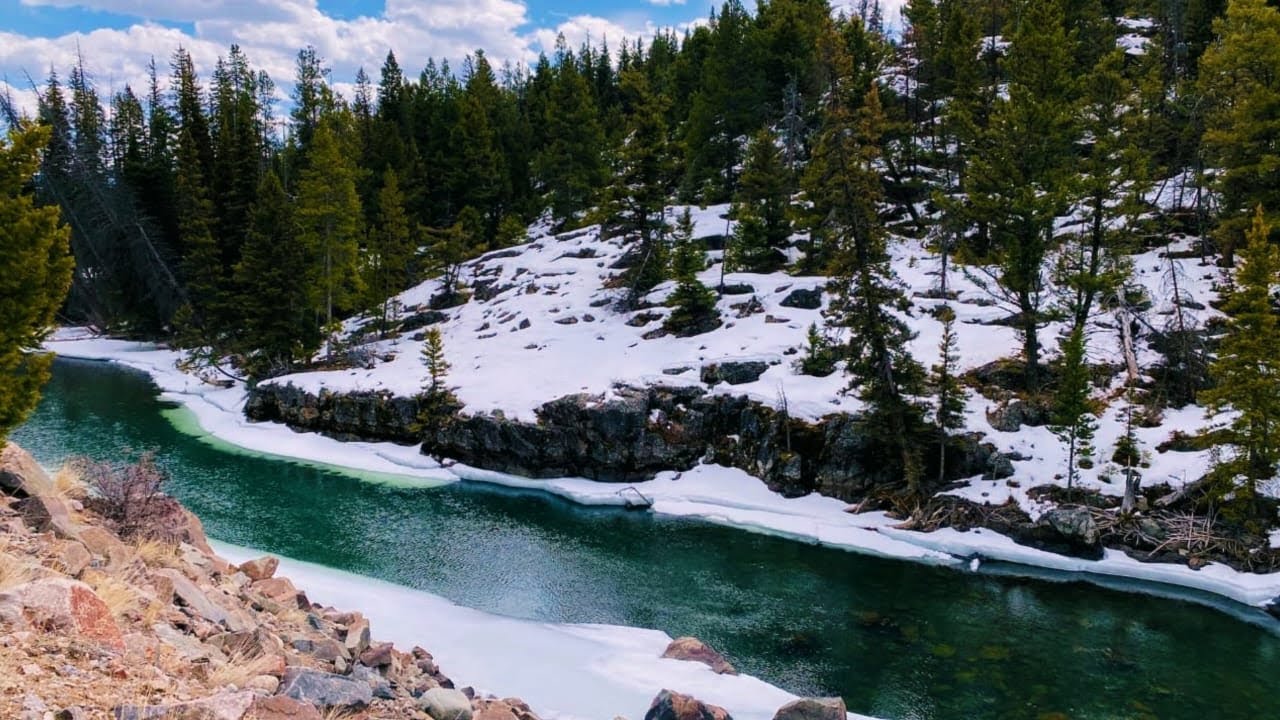 Winter Wonderland in the Forest - Nature Hatch - YouTube