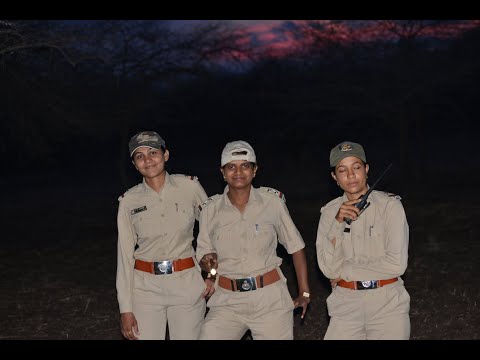 The Lion Queens/ Full Film/  Ep 4