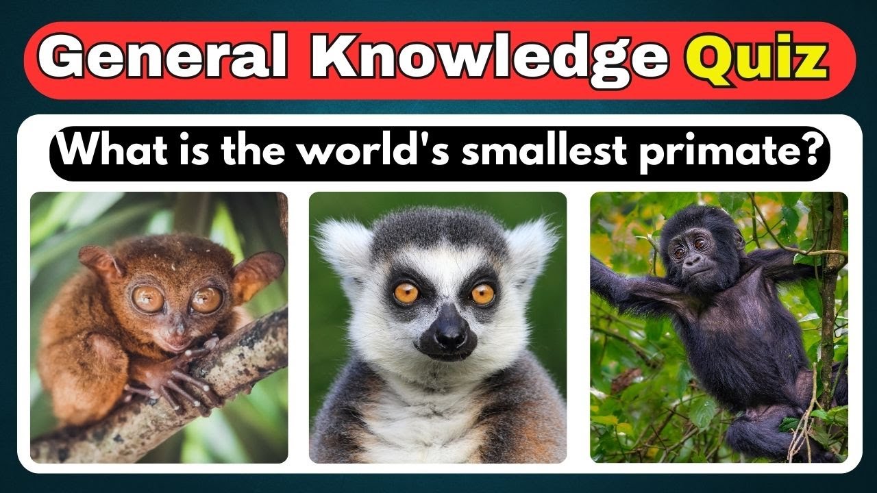Test Your Animal IQ with These 10 Tricky Questions | Animals Quiz ...