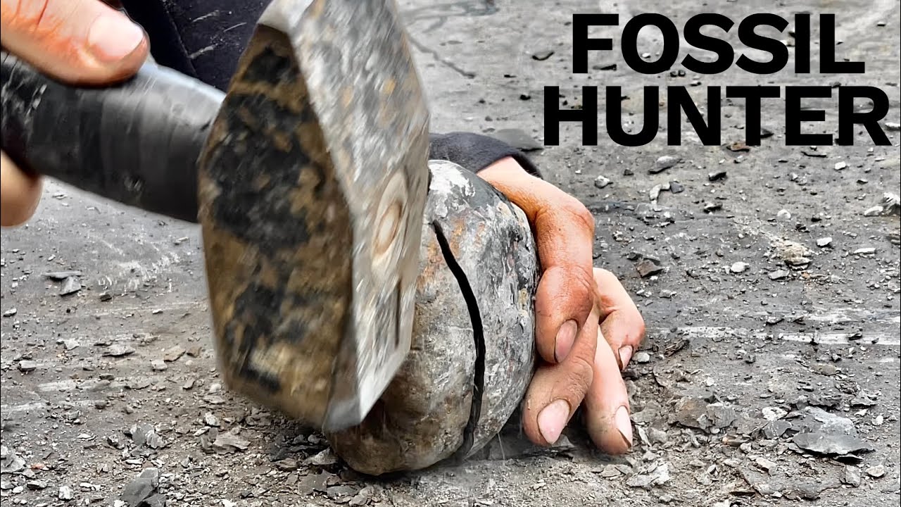Look INSIDE The Stone! Slicing Rocks for Fossils! | Fossil Hunter - YouTube