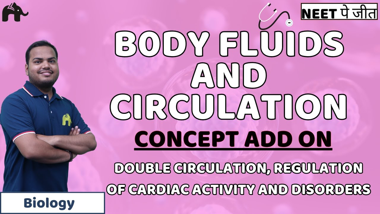 Body Fluids And Circulation Class 11 NEET - Regulation of Cardiac ...