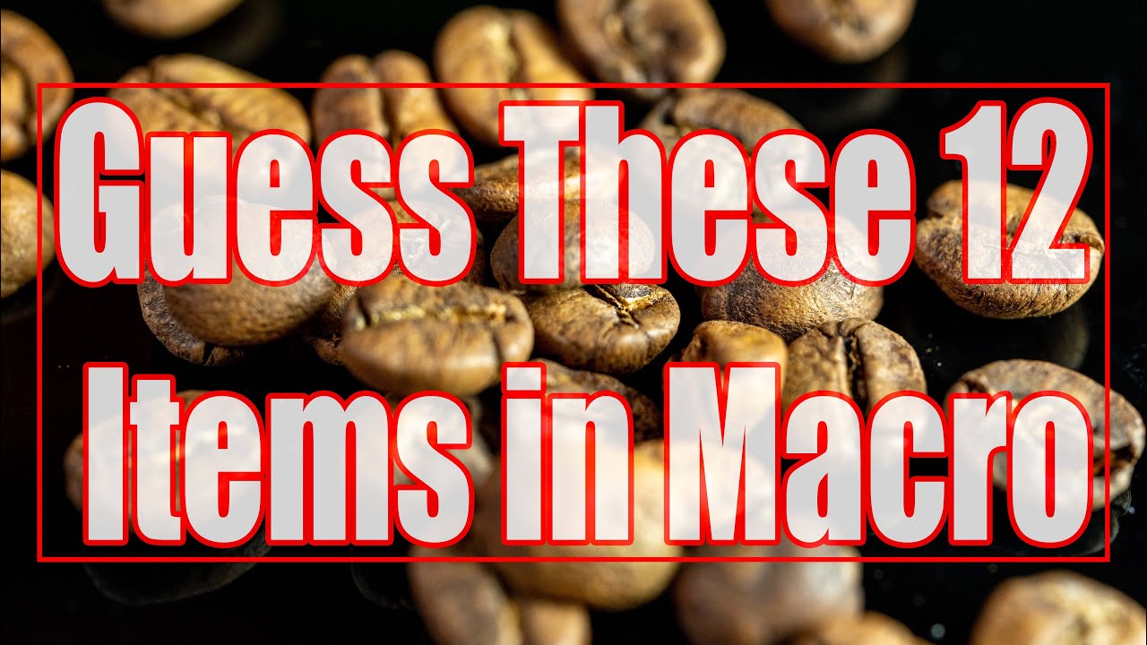 Can You Guess These 12 Everyday Items in Macro? | Close-Up Challenge ...