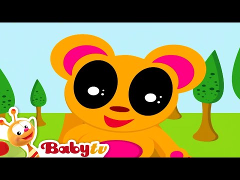 Plant A Cabbage - BabyTV العربية - YouTube