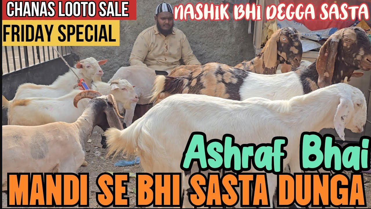 FRIDAY SPECIAL😱 Dhamakedar Sasta Offer Chanas Lo Aur Shouk Karo || Ashraf Bhai Nashik ...