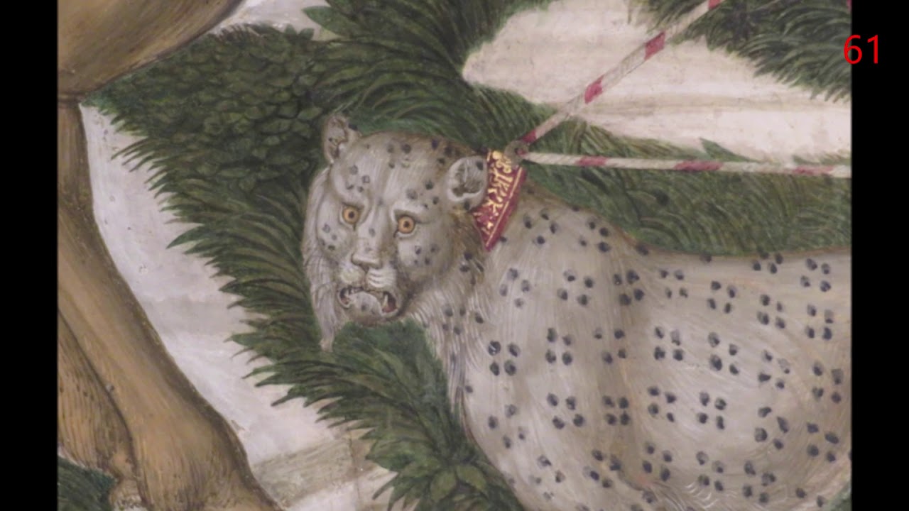 Derpy Lion Compilation - TMU in Italy 2018 - YouTube