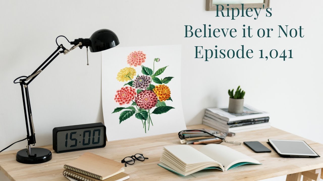 Ripley's Believe it or Not! - Episode 1,041 - Misspelled Name - YouTube