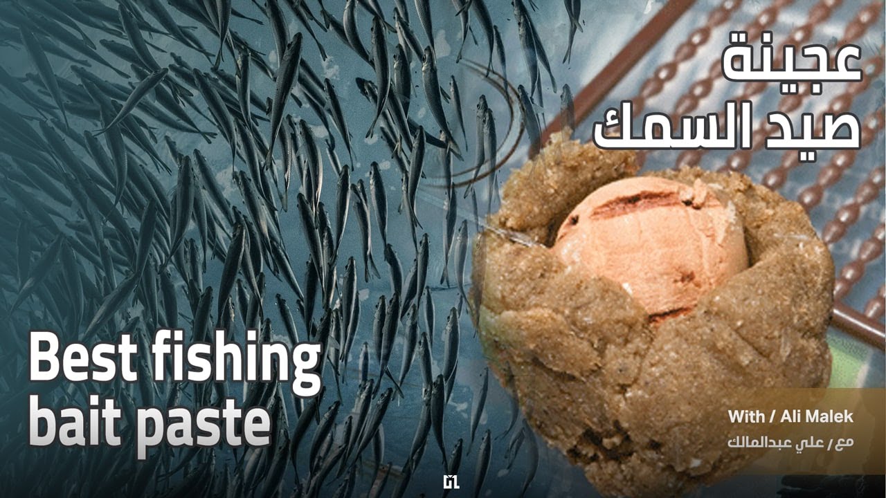 عجينة طعم السمك best fishing bait pasta - YouTube