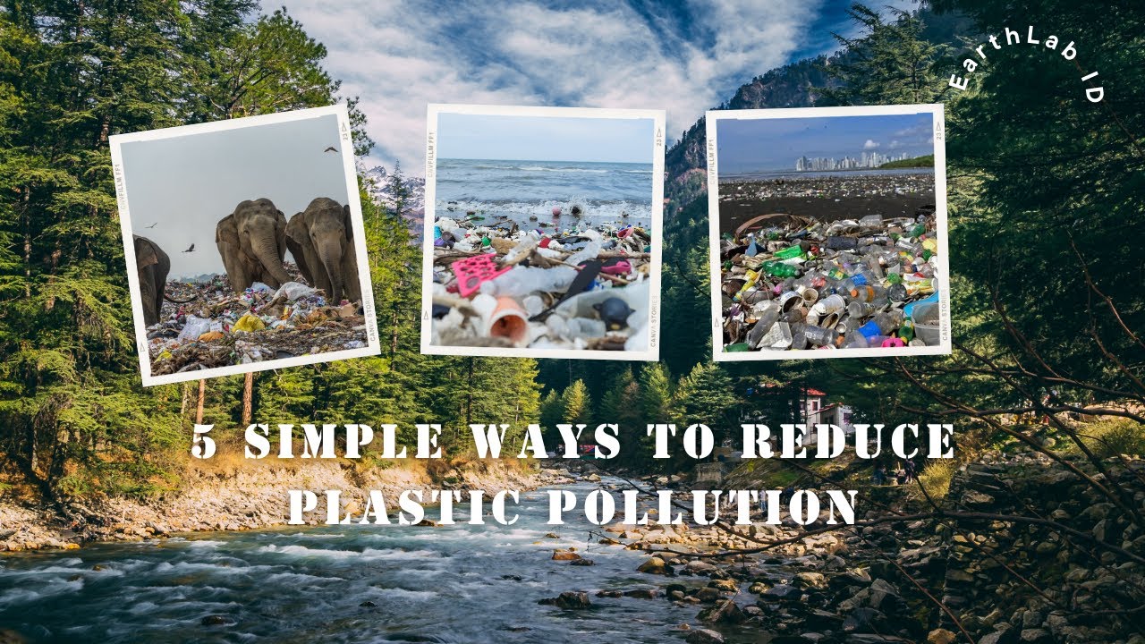Simple Ways to Reduce Plastic Pollution. - YouTube
