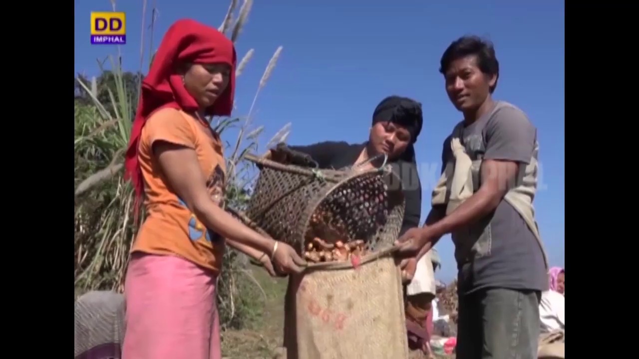 DDK IMPHAL - AGRICULTURE PROGRAMME - YouTube