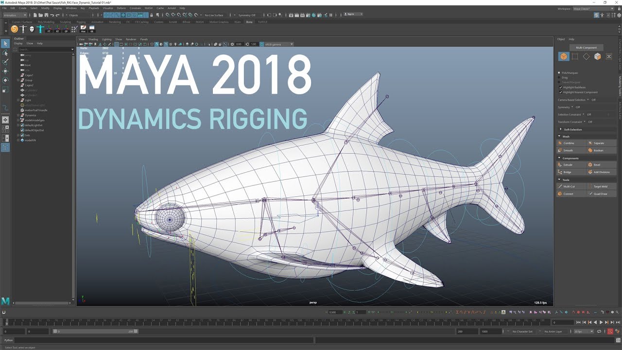 How to Create Joints Dynamic Fish Animation In Maya 2018 Tutorial ...