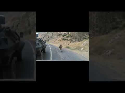 Türk Askeri Ne Yapıyor ki diyenler için-Eklemedir Koca Konak-TSK