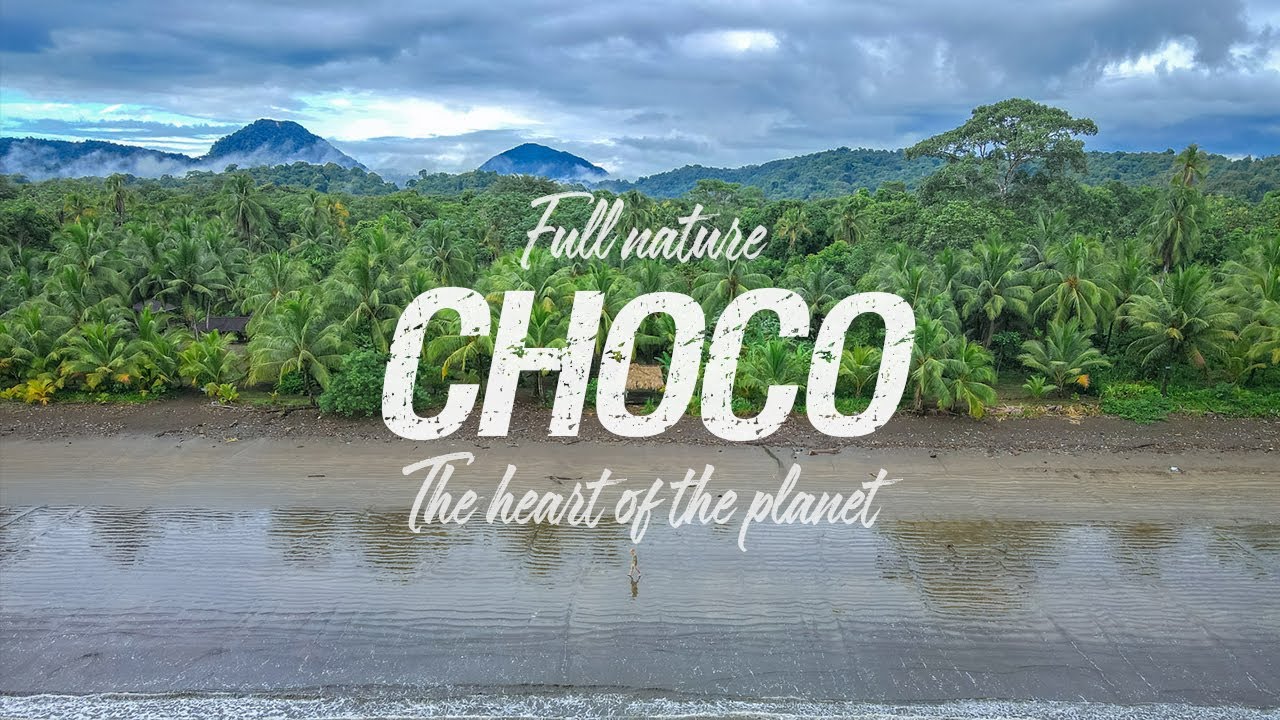 CHOCO | Surviving Through a Storm, I found a Virgin Land in Colombia ...