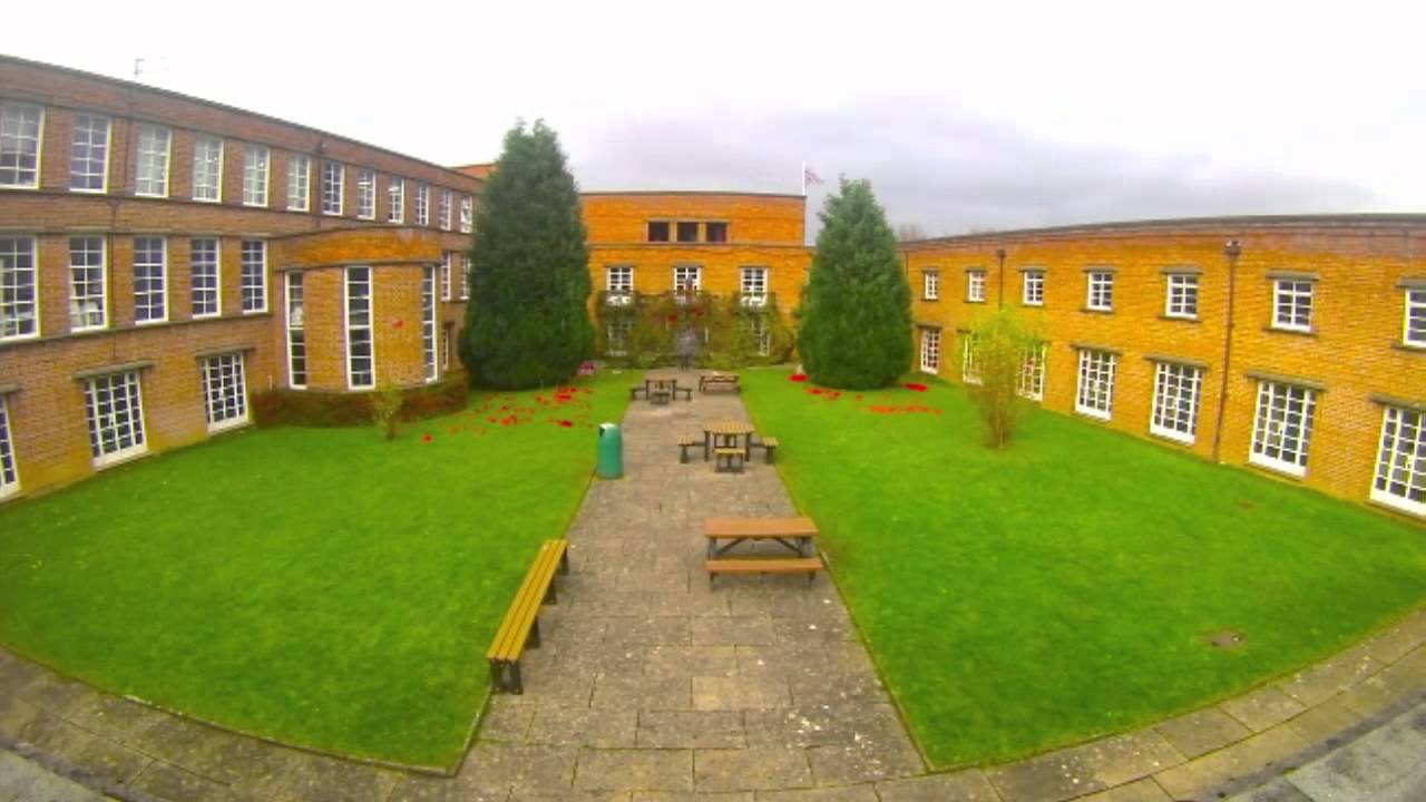 Risedale 2015 Poppy Display Time Lapse - YouTube