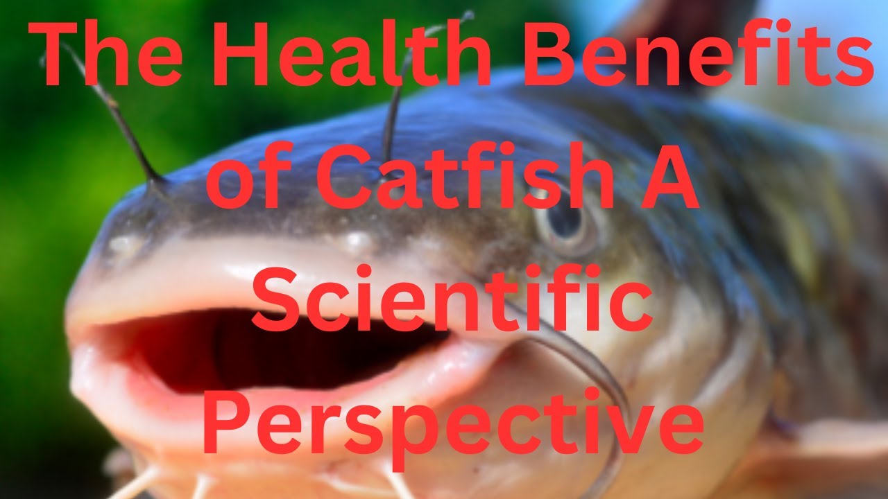The Health Benefits of Catfish A Scientific Perspective - YouTube