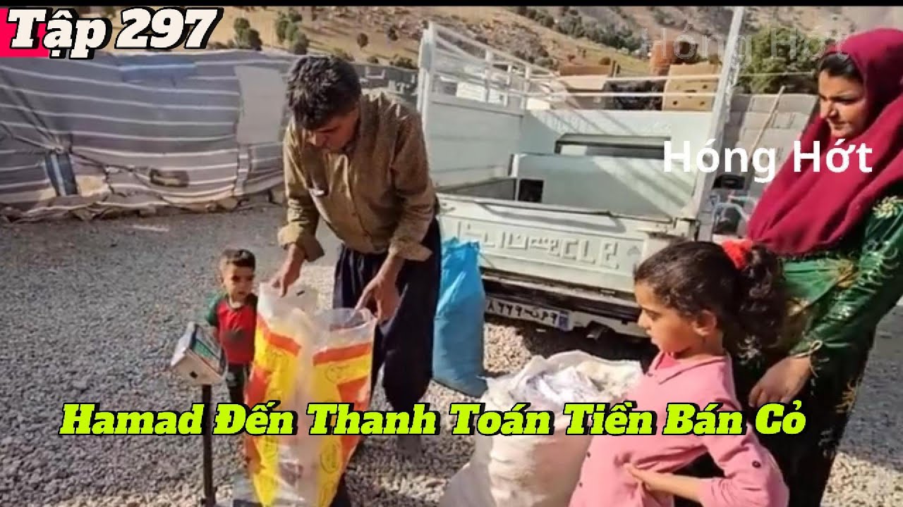 | Zainab - Tập 297 | Hamad Đến Trả Tiền Cổ Khô - Zainab Lo Lắng Không ...