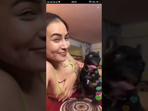 Bigo live  cô chủ và cún con