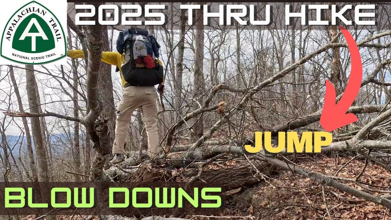 Appalachian Trail Thru Hike 2025 | Day 23 | Sassafras Gap To Brown Fork ...