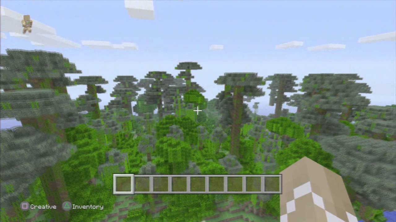 Minecraft PS3 Best Seed EVER - YouTube