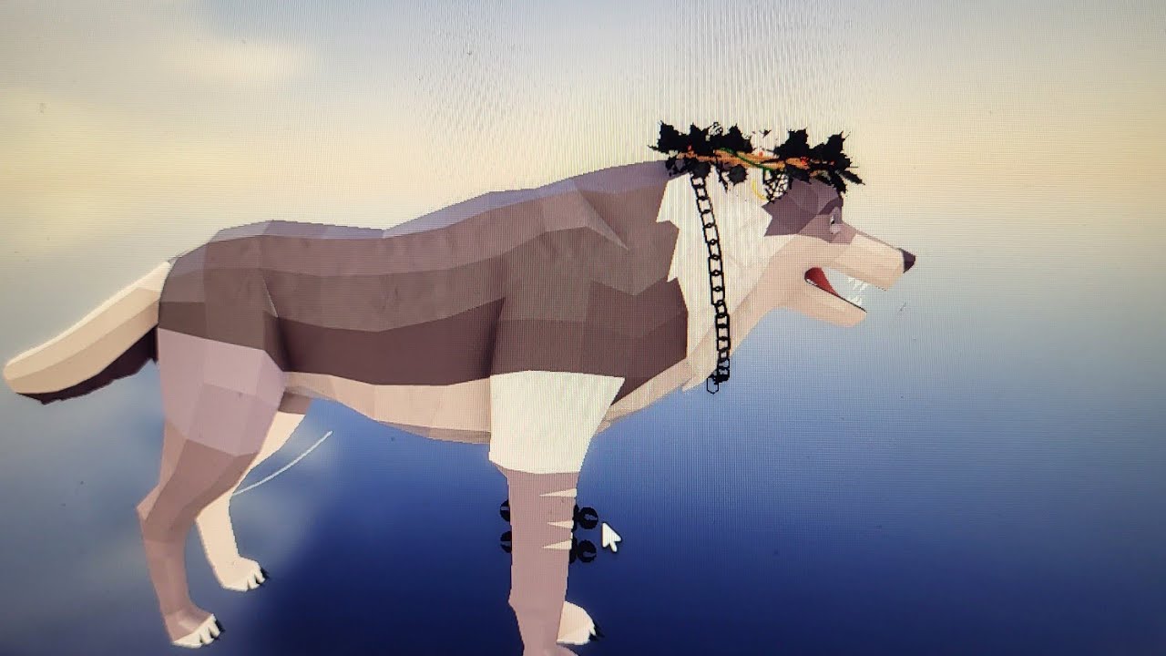 How to get more advance colouration in your morphs| Animal life! - YouTube