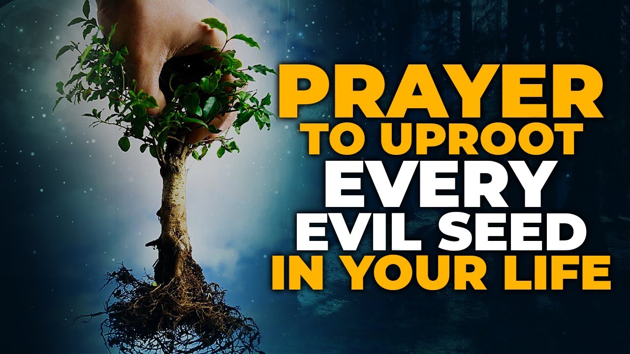 Every Evil Seed Must Be Uprooted In The Name Of Jesus - YouTube