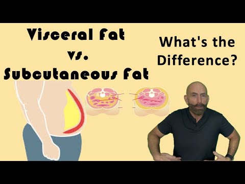 Visceral Fat vs. Subcutaneous Fat: What's The Difference? #fat # ...