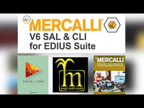 ProDAD Mercalli V6 SAL & CLI für EDIUS Suite - die beste und schnellste Video Stabilisierung