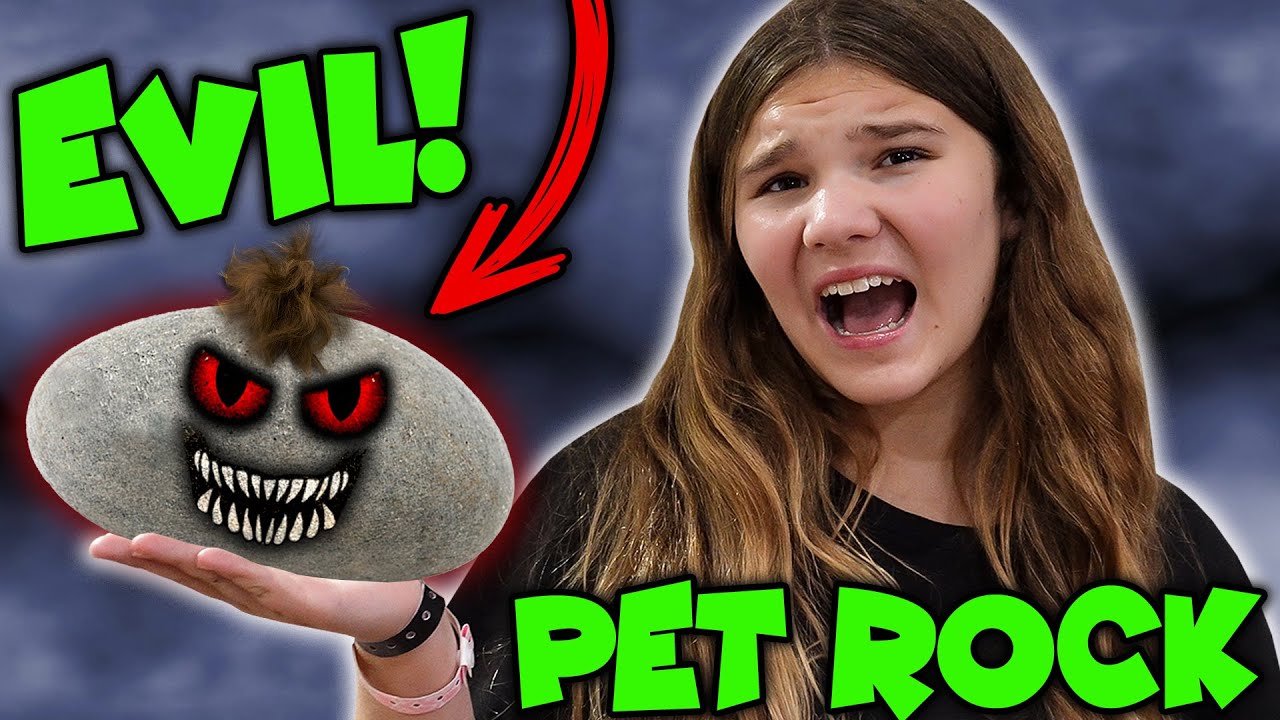 I Got A New Pet... But It's A Creepy Pet ROCK!! (Carlaylee HD Skit ...