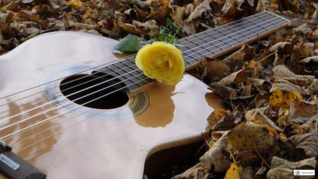 Relaxing music by oud instrument -Heart comfort - YouTube