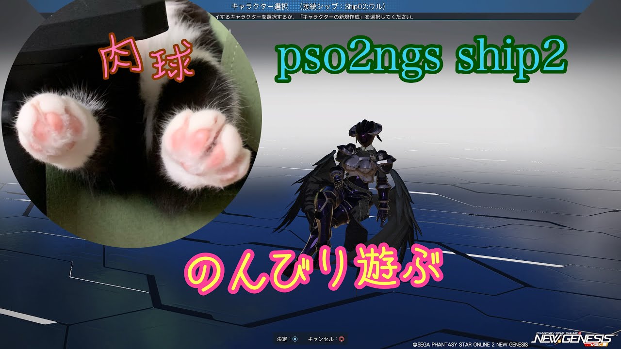 [ps5/pso2 ngs] ship 2 ガンスラおもろ - YouTube