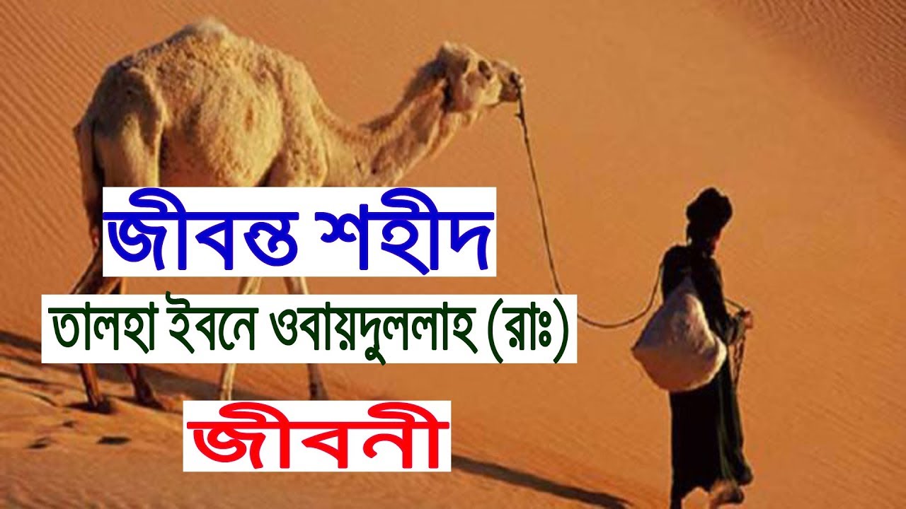 হযরত তালহা ইবনে ওবায়দুল্লাহ (রাঃ) এর জীবনী | Biography Of Talhah ibn ...