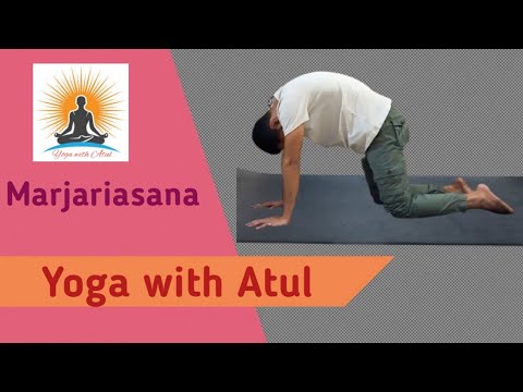 How to practice of Marjariasana 🙏🏼🙏 - YouTube